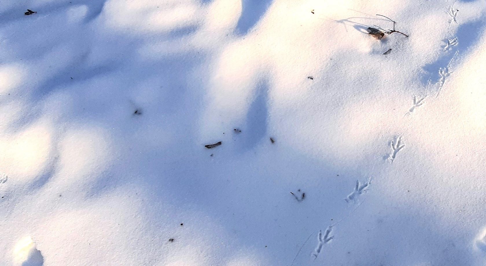 SFI Master Class: Klima- und Biodiversitätsrisiken | Department of ...